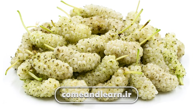 توت سفید : 10 خاصیت میوه ی کوچک و پر خاصیت | بیا و یادبگیر